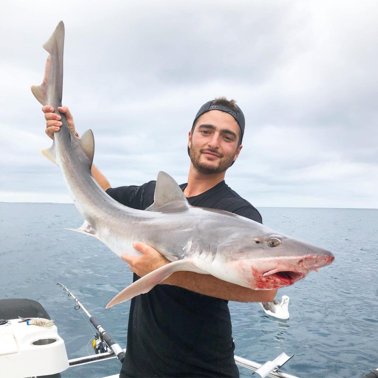 Gummy shark charter 'Individual' (Noosa Cat) - Cassar Fishing Charters ...