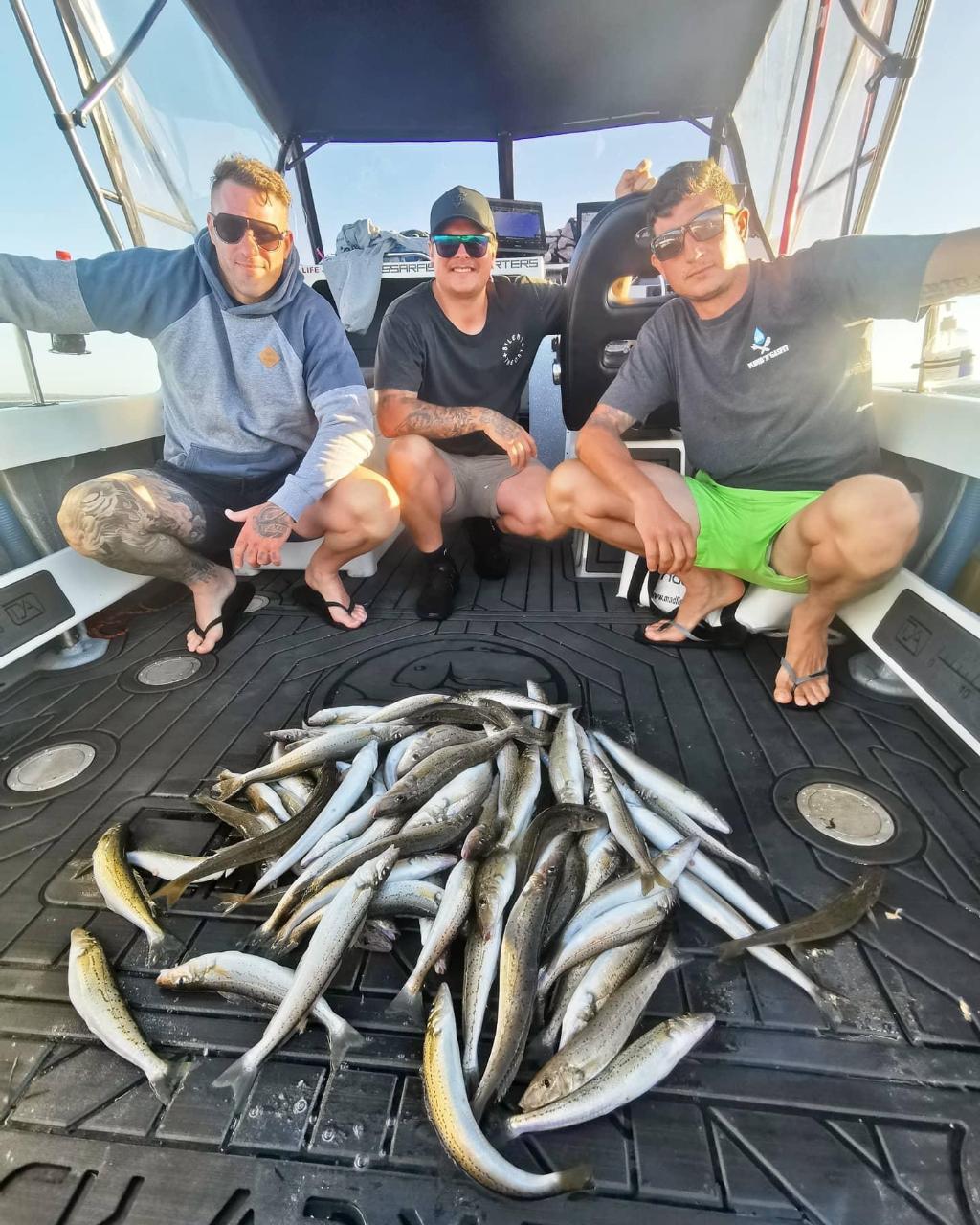 Whiting (Individual) Noosacat - Cassar Fishing Charters Reservations