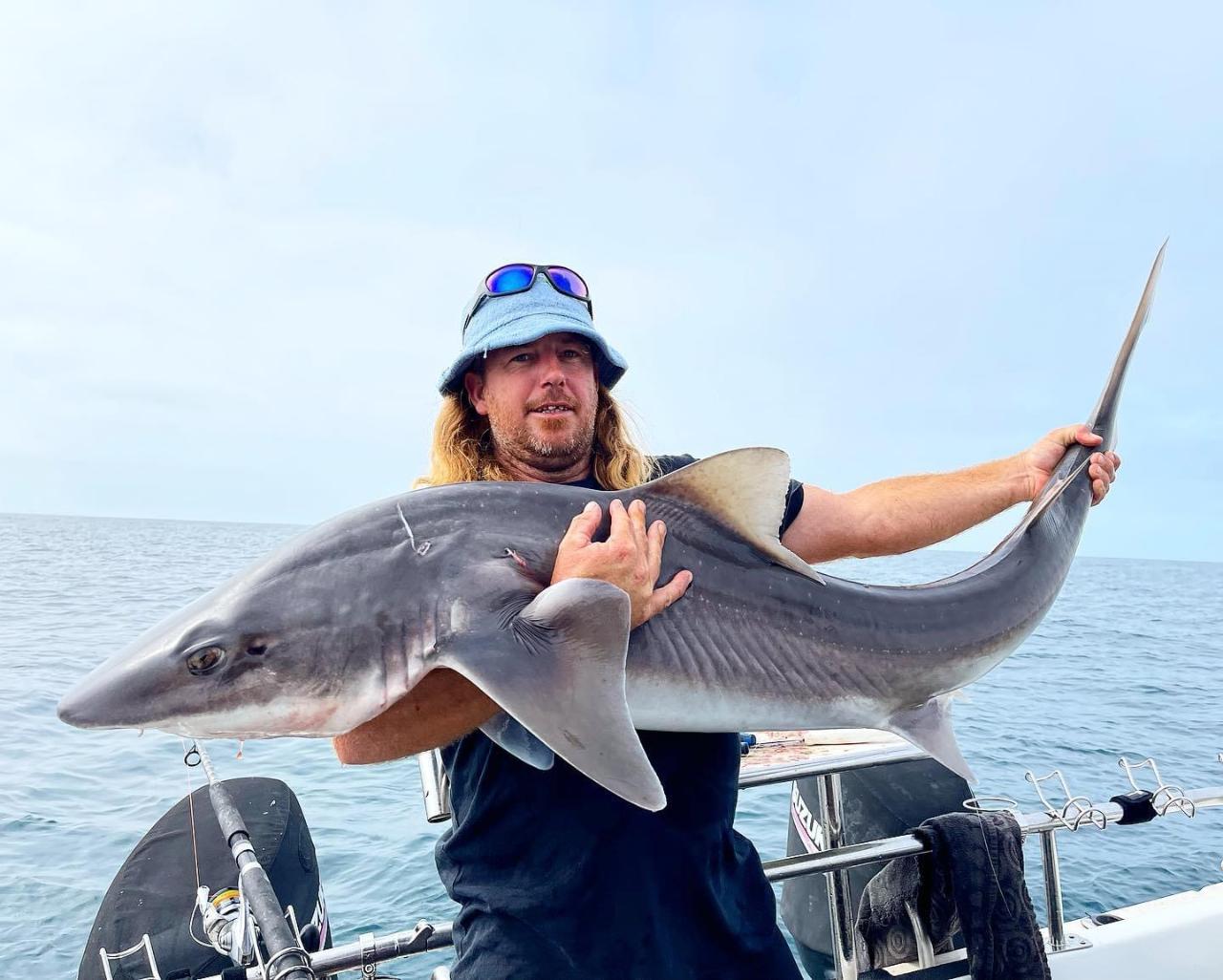 Gummy shark charter 'Individual' (Noosa Cat) - Cassar Fishing Charters ...