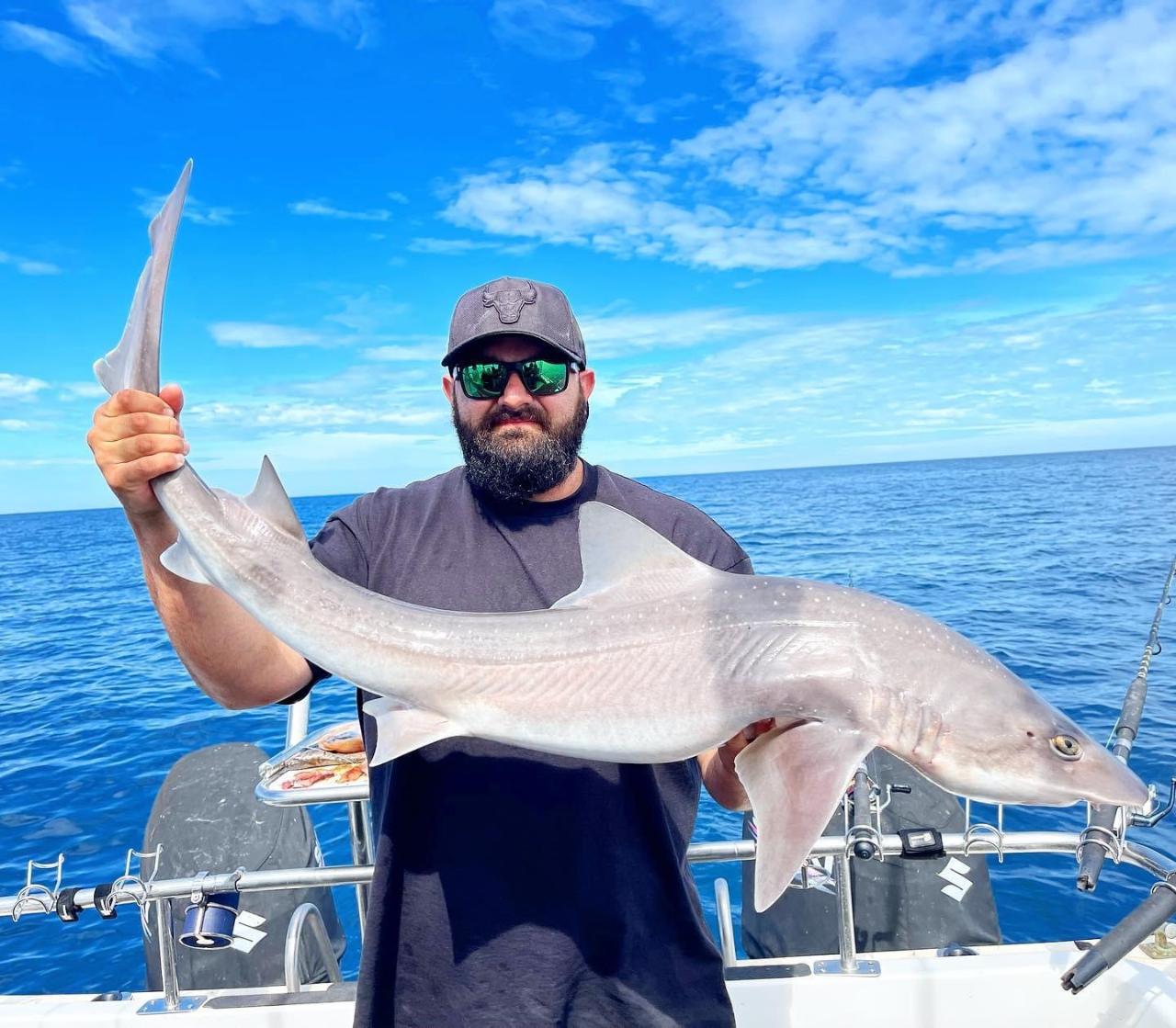 Gummy shark charter 'Individual' (Noosa Cat) - Cassar Fishing Charters ...
