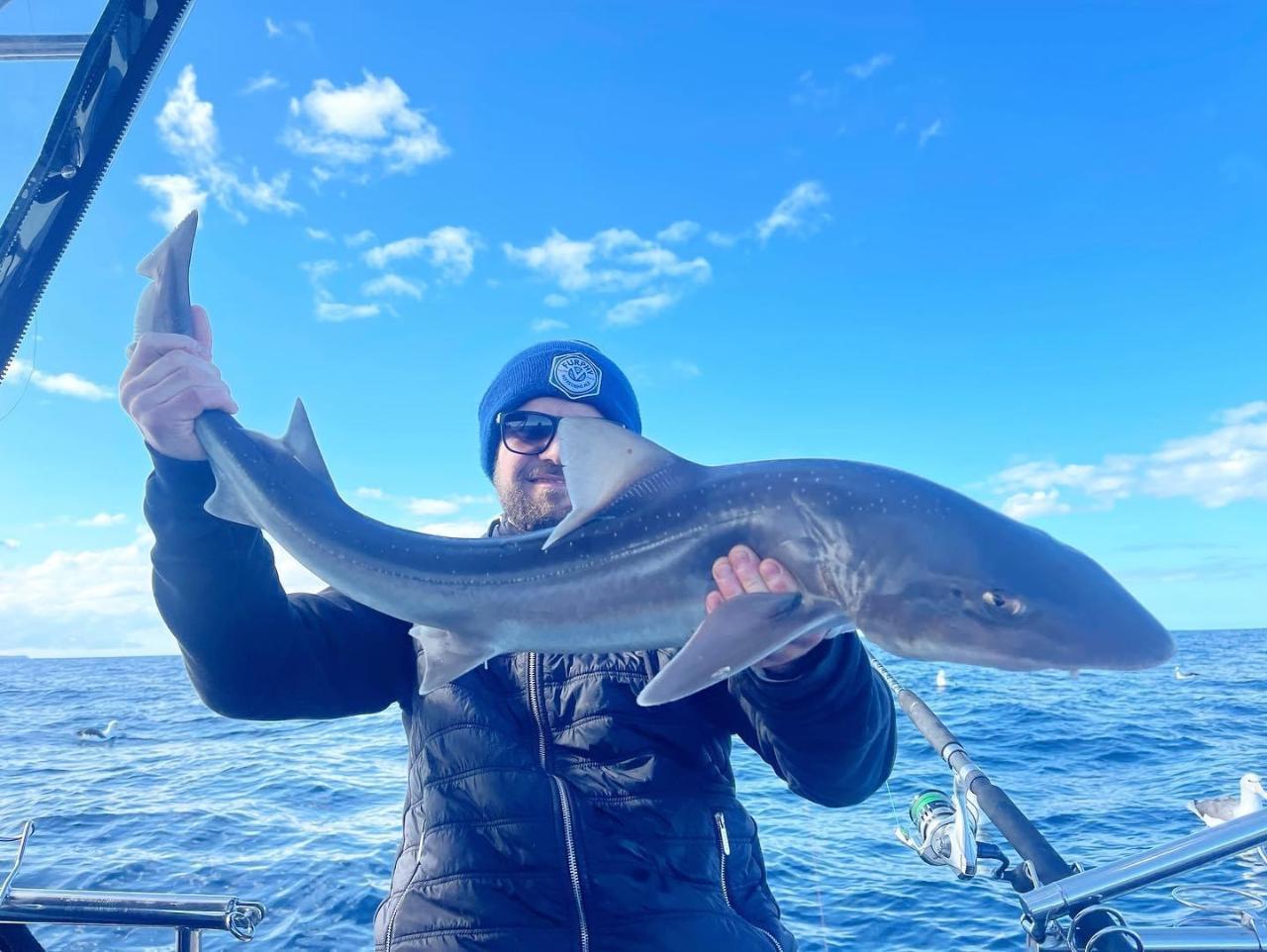 Gummy shark charter 'Individual' (Noosa Cat) - Cassar Fishing Charters ...