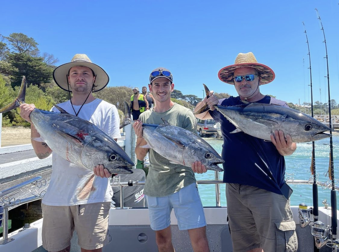 Local Bluefin Tuna Individual (Noosa Cat) - Cassar Fishing Charters ...