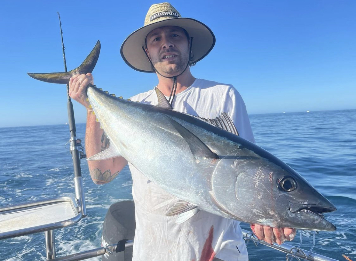 Local Bluefin Tuna Individual (Noosa Cat) - Cassar Fishing Charters ...