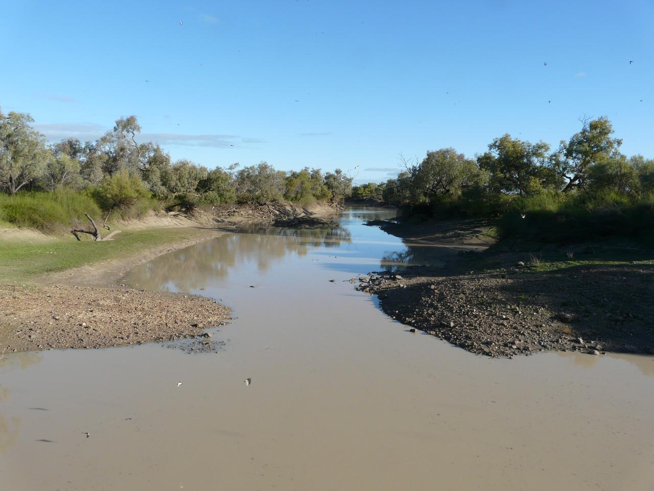 Gluepot Reserve & Bowra Sanctuary Birding Safari - Australian ...