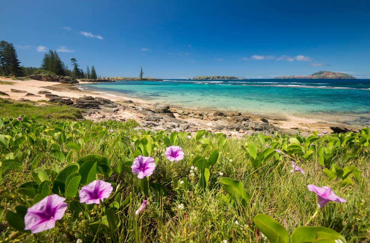 Norfolk Island Expedition - Australian Geographic Travel Reservations