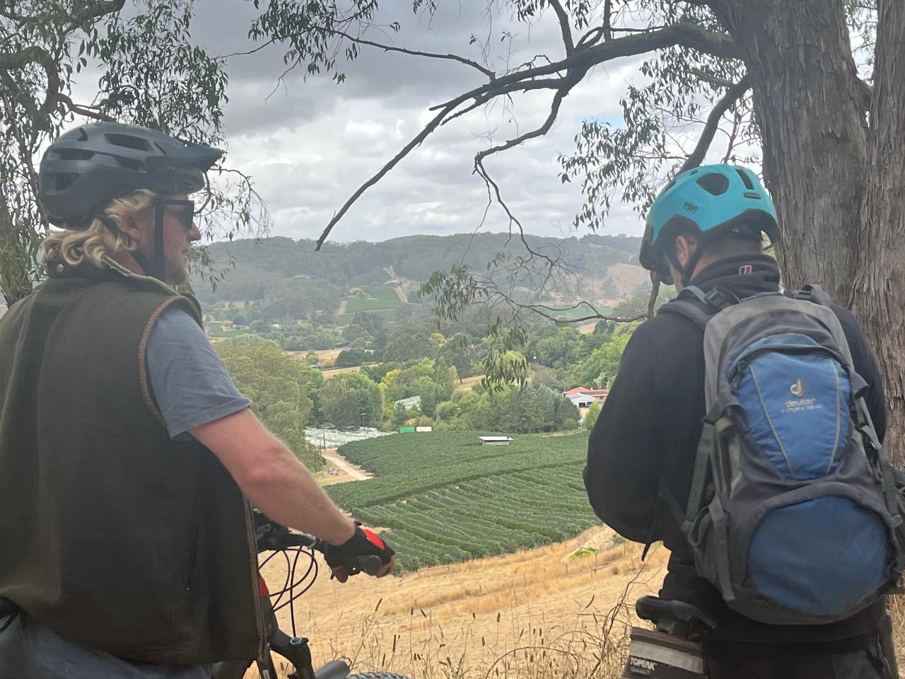 Adelaide Hills Nature Highlights Self-Guided e-Bike Tour - Turers ...