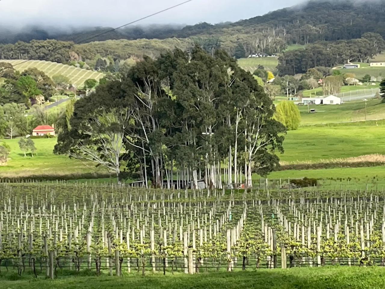 Adelaide Hills Village to Village e-Bike Easy Self-Guided Tour - Turers ...
