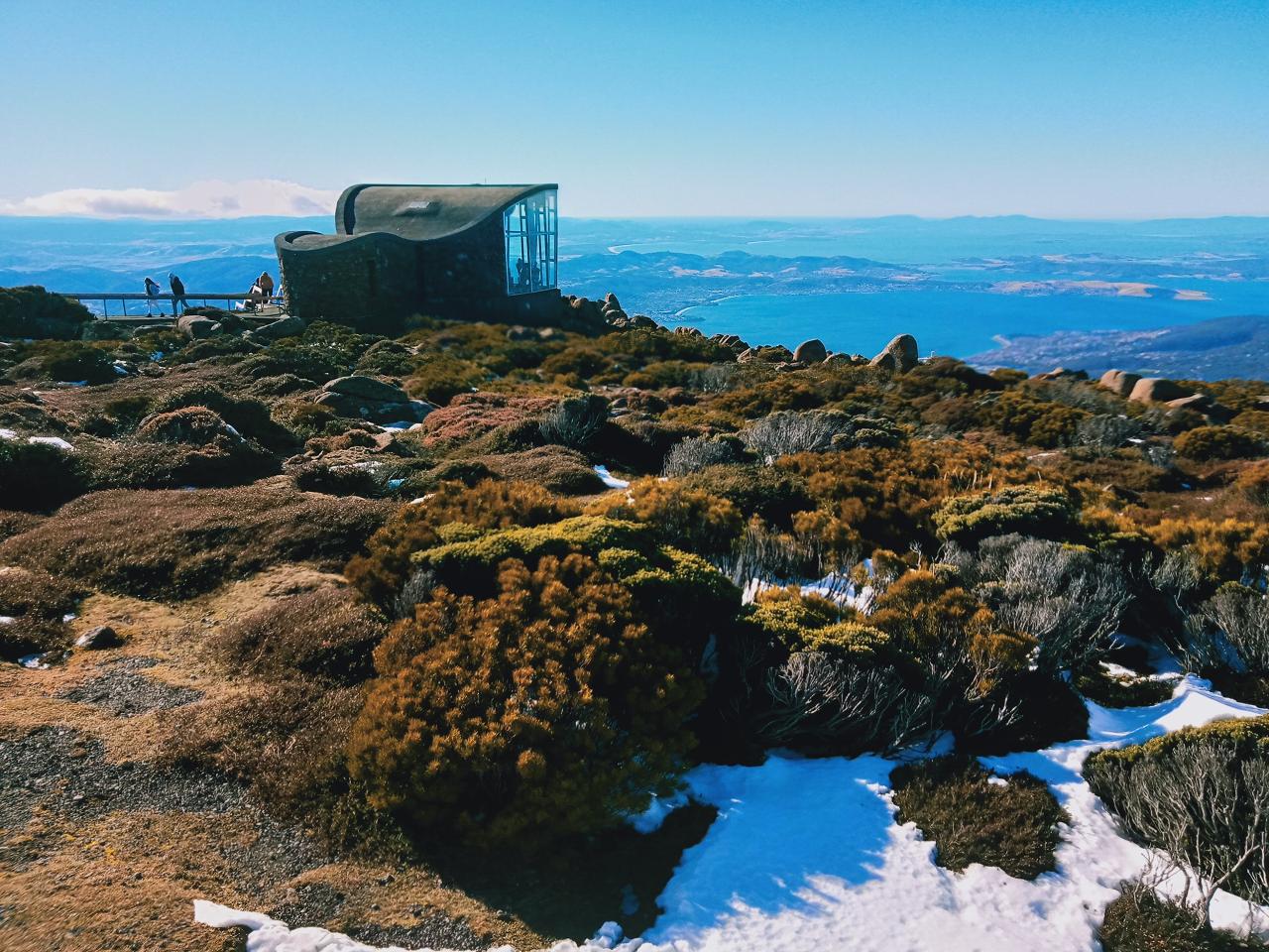 Experience Mt Wellington Summit & MONA Ferry | Full-Day Tour