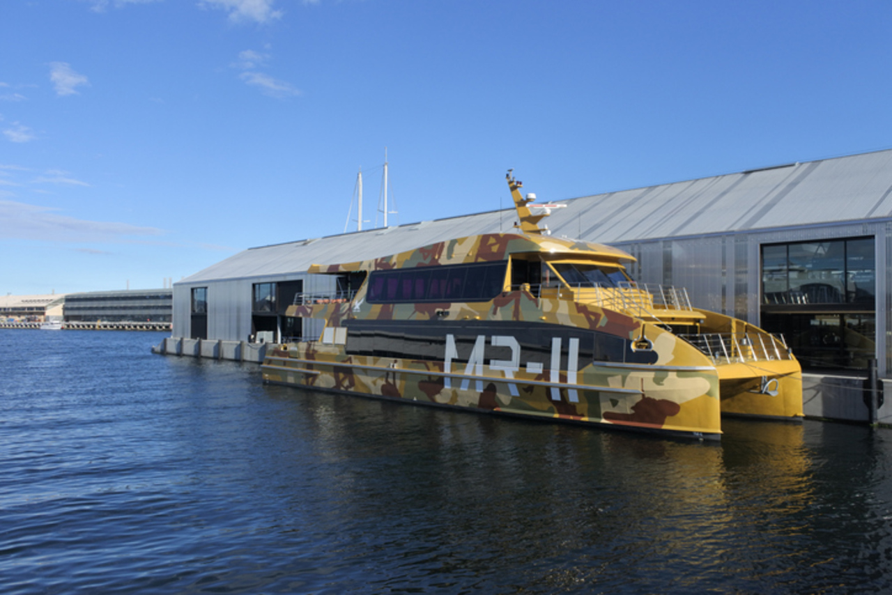 Experience Mt Wellington Summit & MONA Ferry | Full-Day Tour