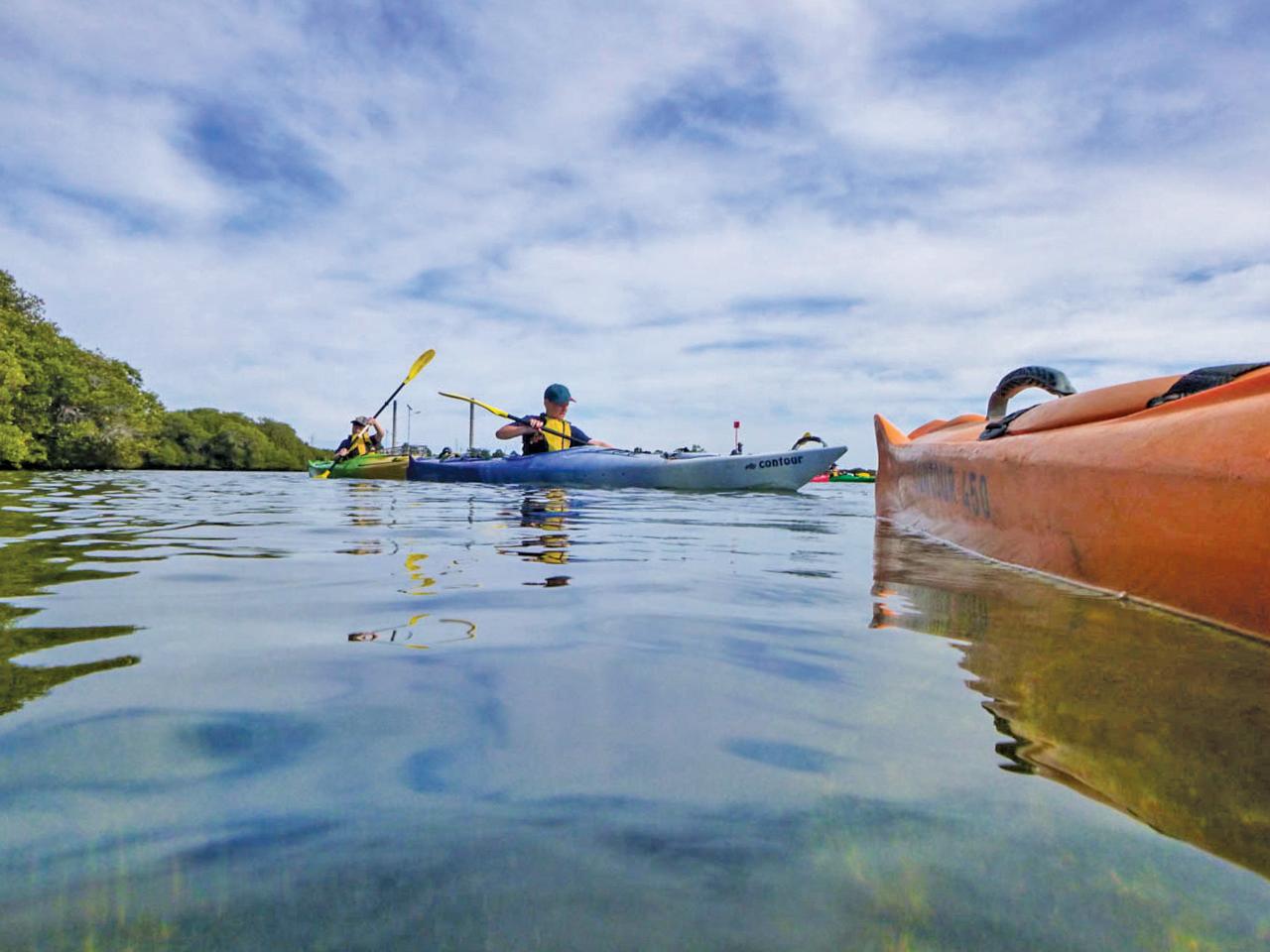 Z Archive - Mighty Yowies Dolphin and Ship Wreck Kayak Adventure ...