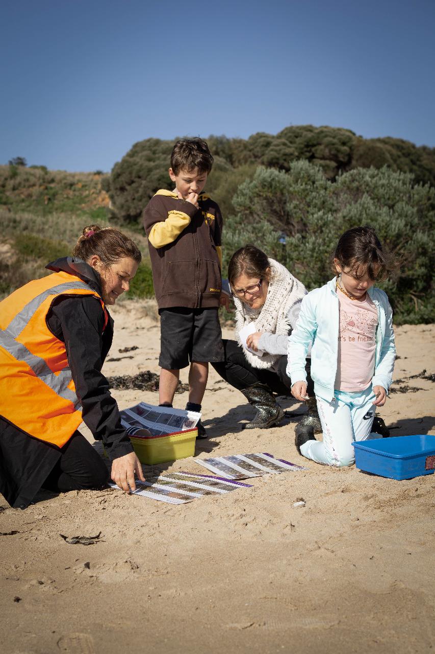 Beachcombing at Aldinga for Park of the Month - Fleurieu Marine ...