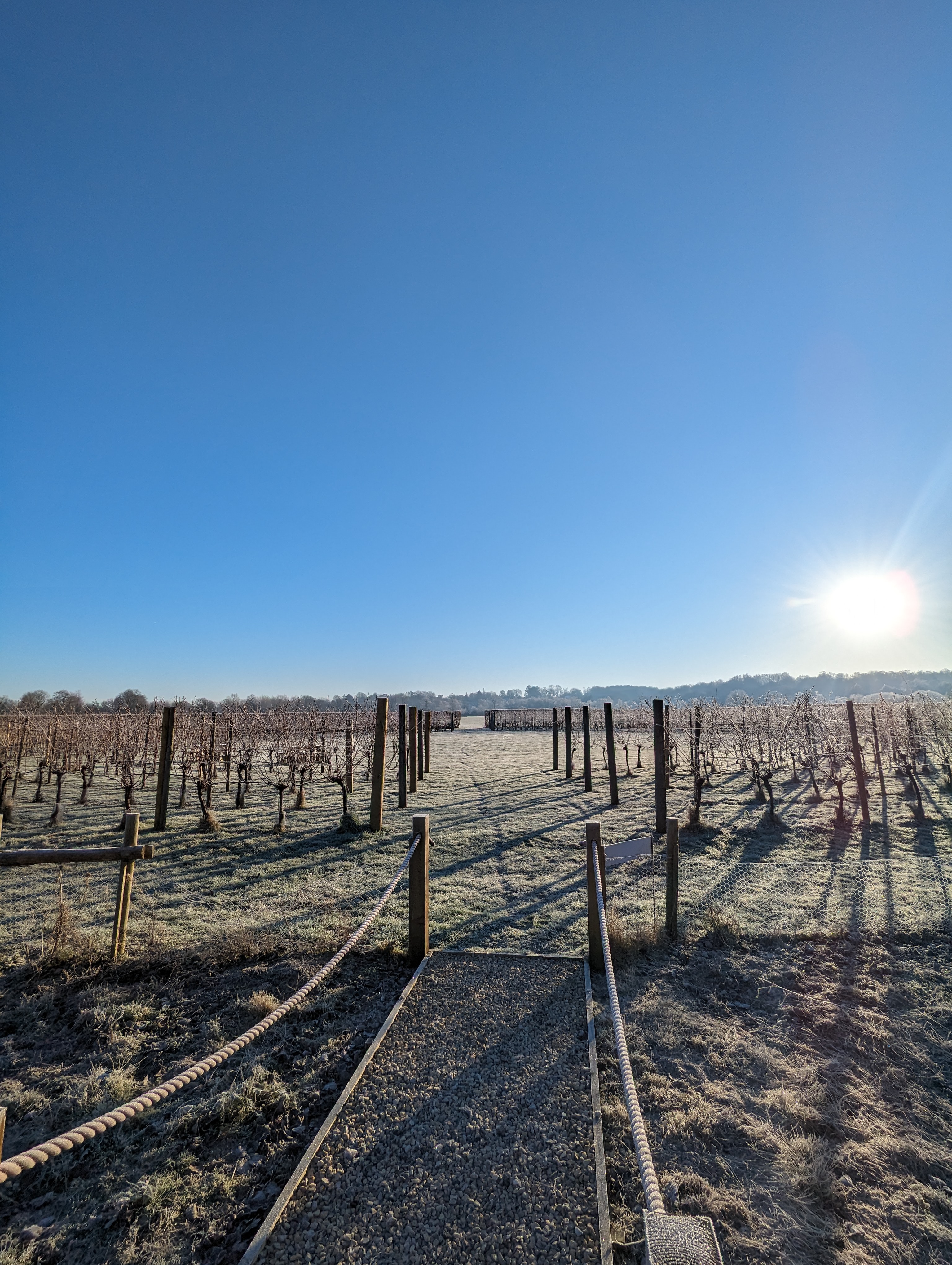 Festive Vineyard Walk, Tour + Tasting - Black Chalk Wine Reservations