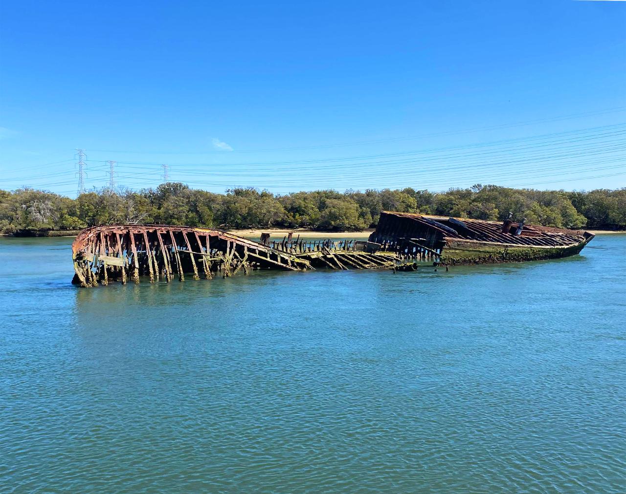 90-minute Port River Dolphin & Ships Graveyard Cruise - Turers - Australia