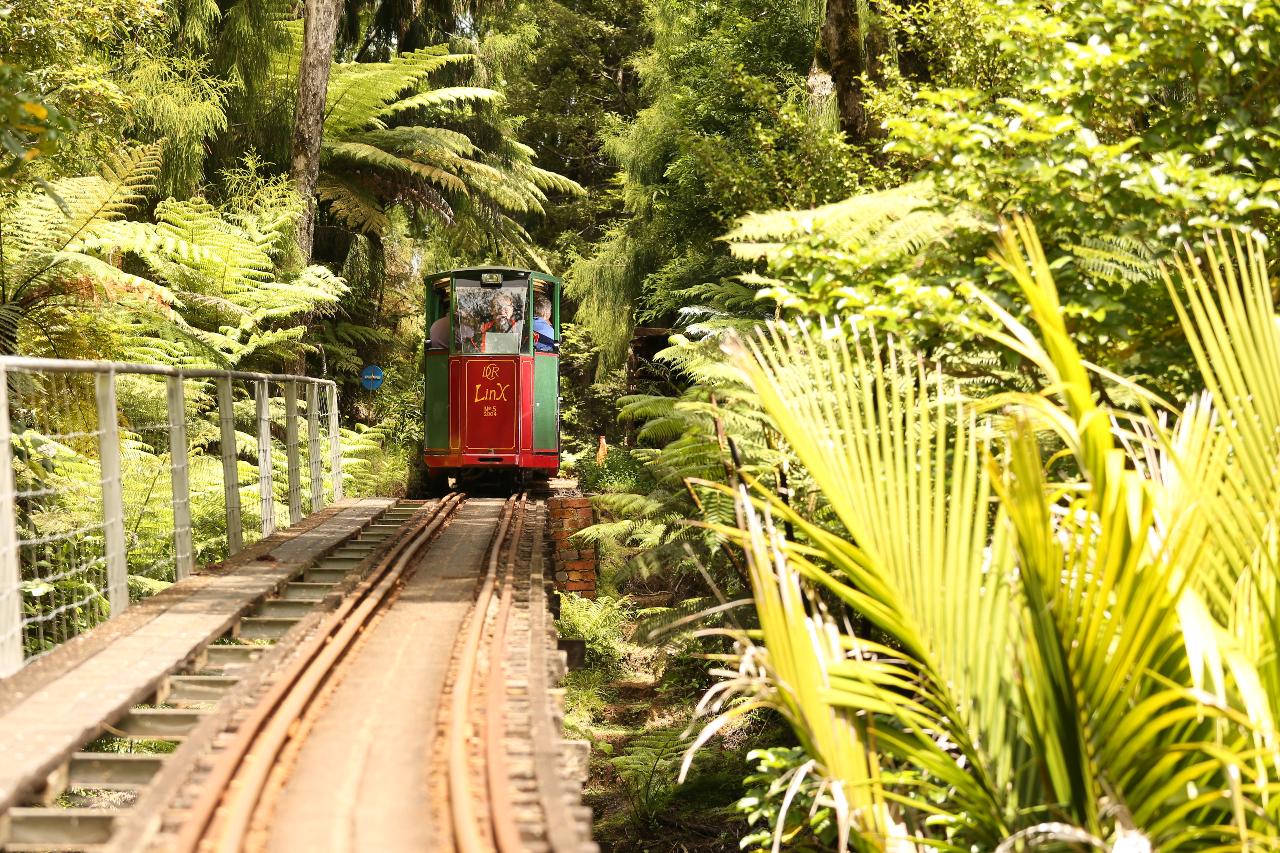 Driving Creek Railway Tour - Driving Creek Reservations