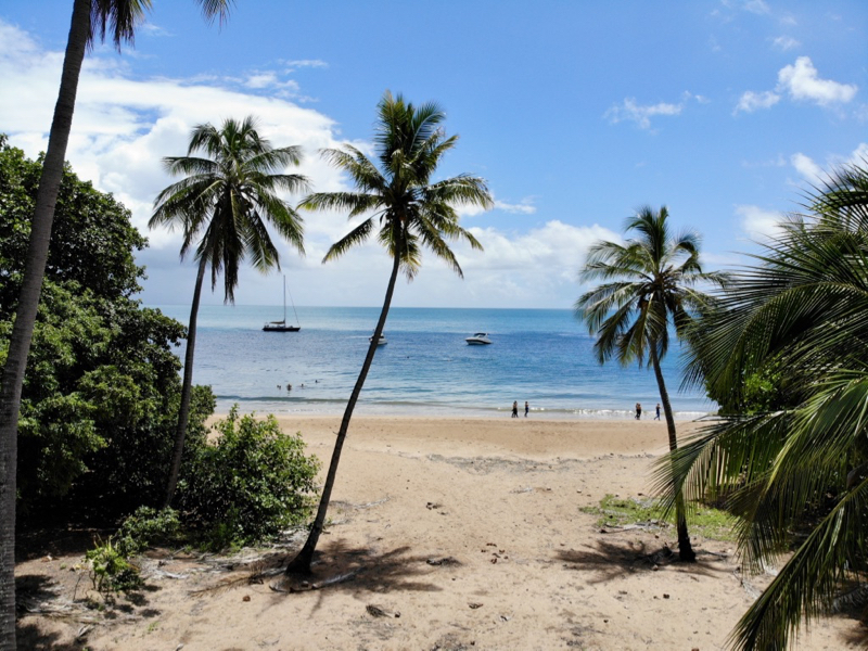 Lunchtime Sailing Cruise (Magnetic Island) - Turers - Australia
