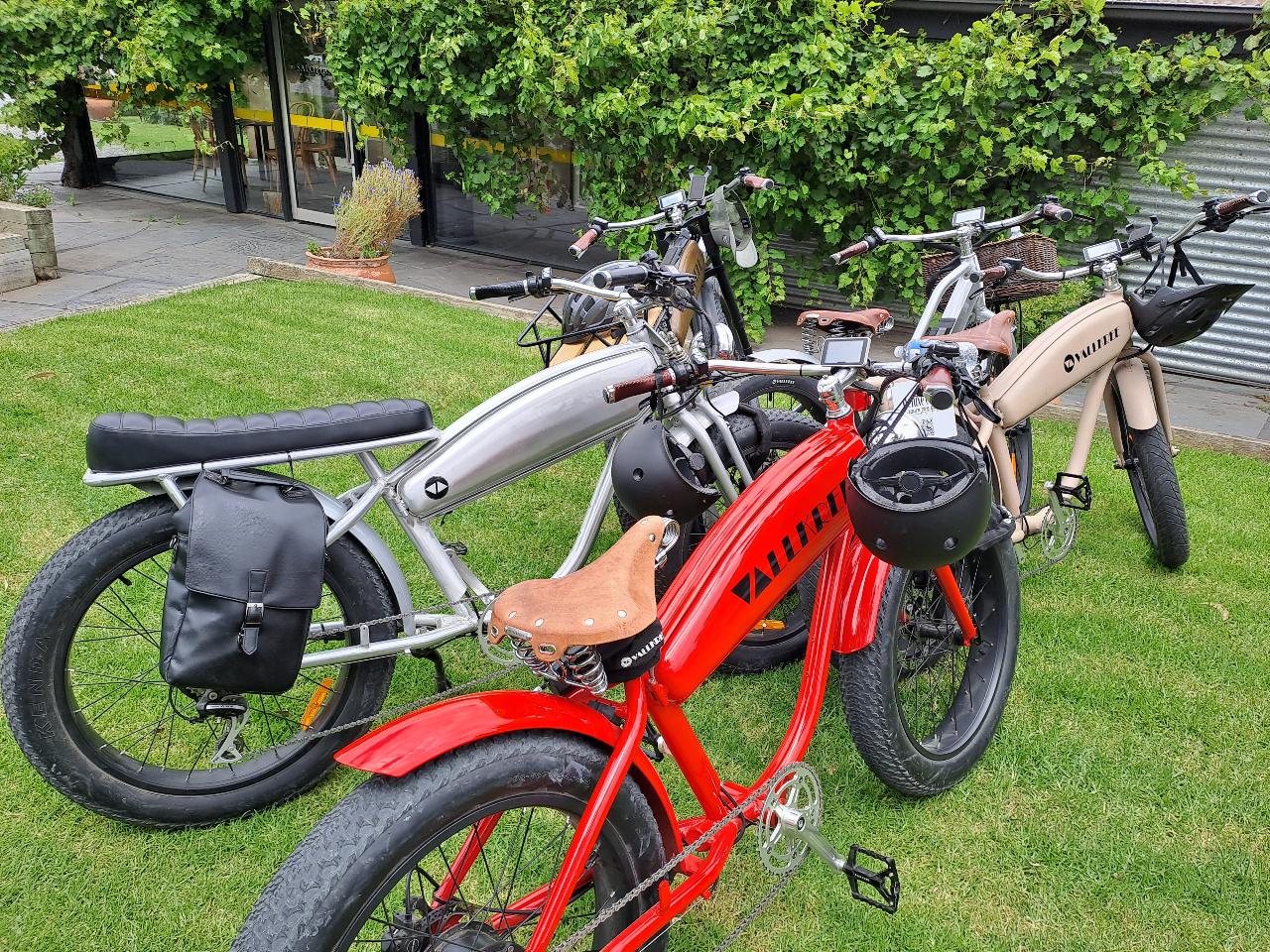 DAILY EBIKE HIRE PICK UP AND DROP OFF AT HARDYS TINTARA 202 MAIN RD ...