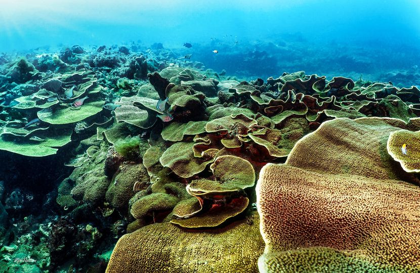 Lena Wreck Diving Bunbury