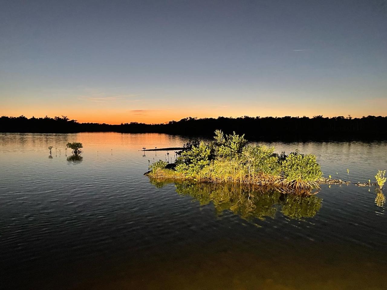 Airboat Night Gigging, Homosassa, Ozello, Backcountry, Gulf of Mexico ...