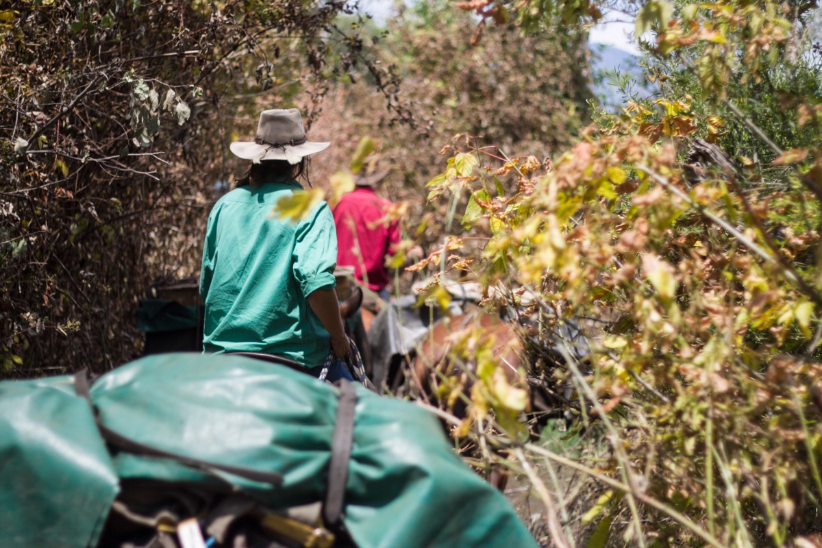 An Alpine Easter Getaway: 6-day tour - Bogong Horseback Adventures ...