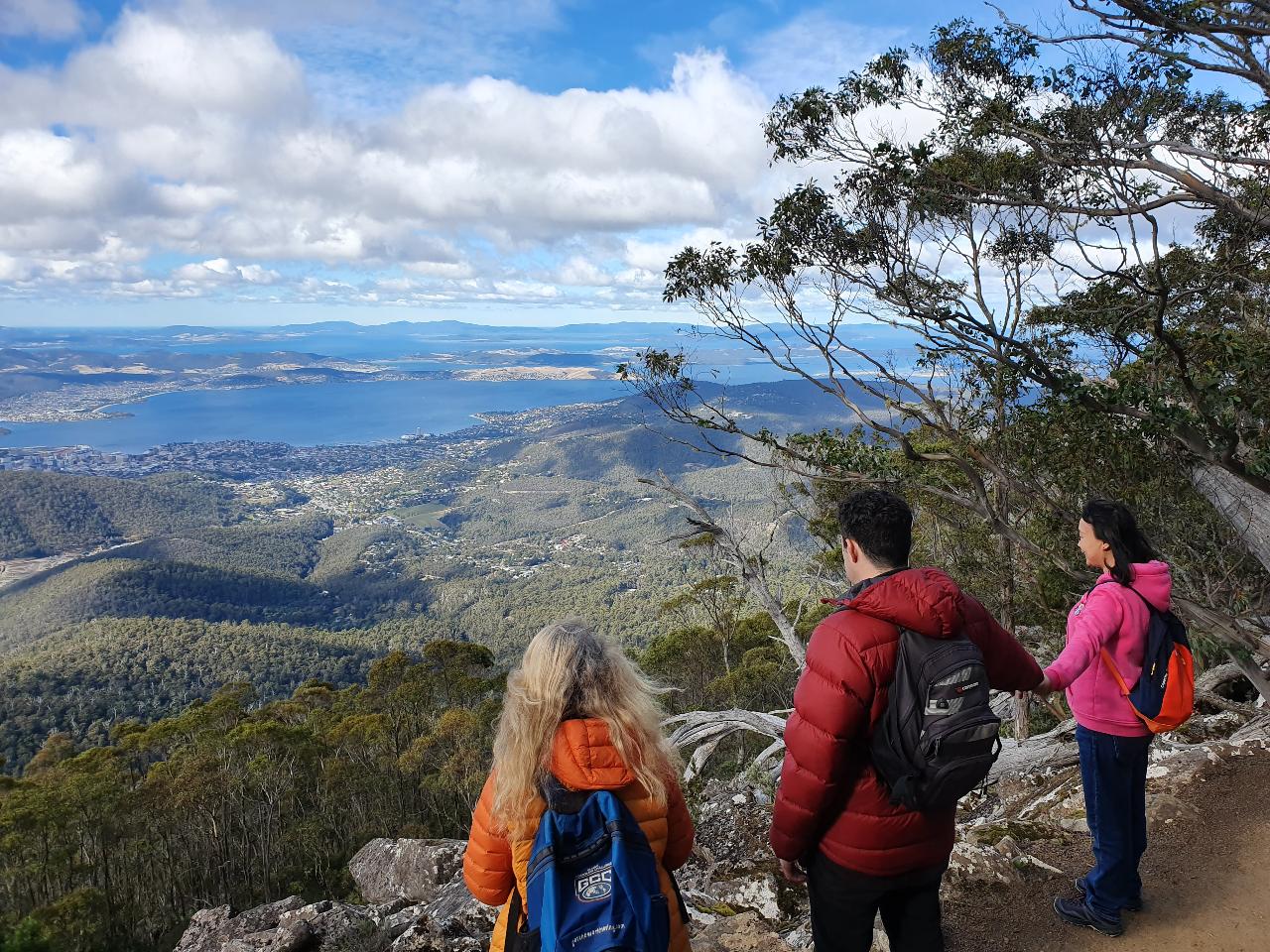 Mount Wellington Guided Morning Walking Tour