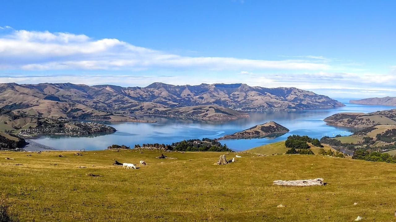 Scenic Mail Run Tour - Akaroa's Eastern Bays Scenic Mail Run Reservations