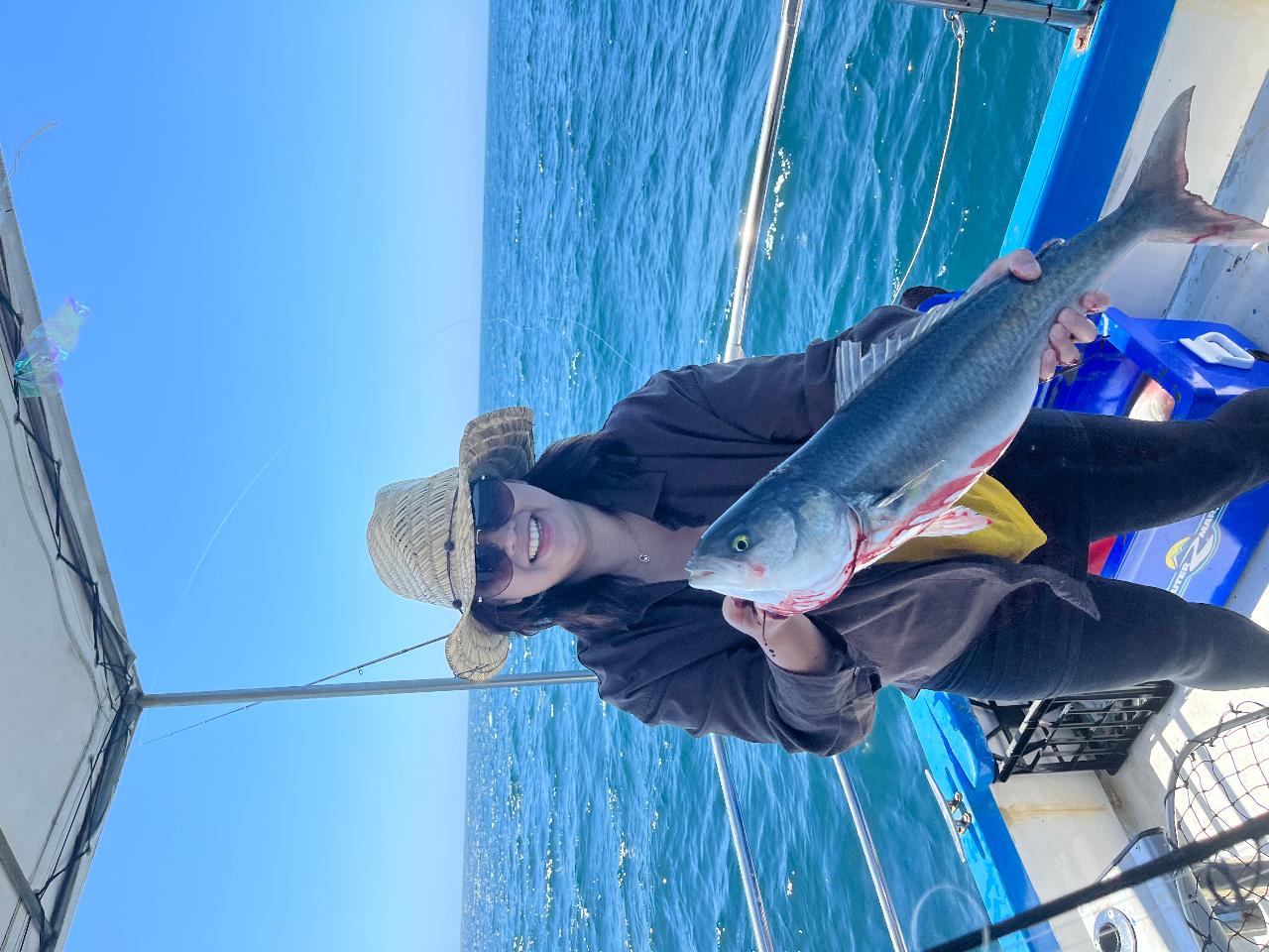 Full day reef and sport fishing - Cronulla reef fishing charters ...