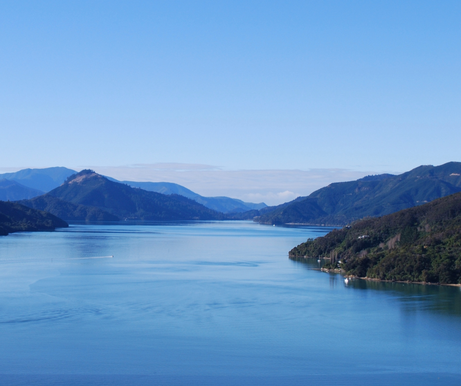 6 Nights Marlborough Scenic Cruise - Depart Picton 2024 - Affinity ... 6 Nights Marlborough Scenic Cruise - Depart Picton 2024 - Affinity ...