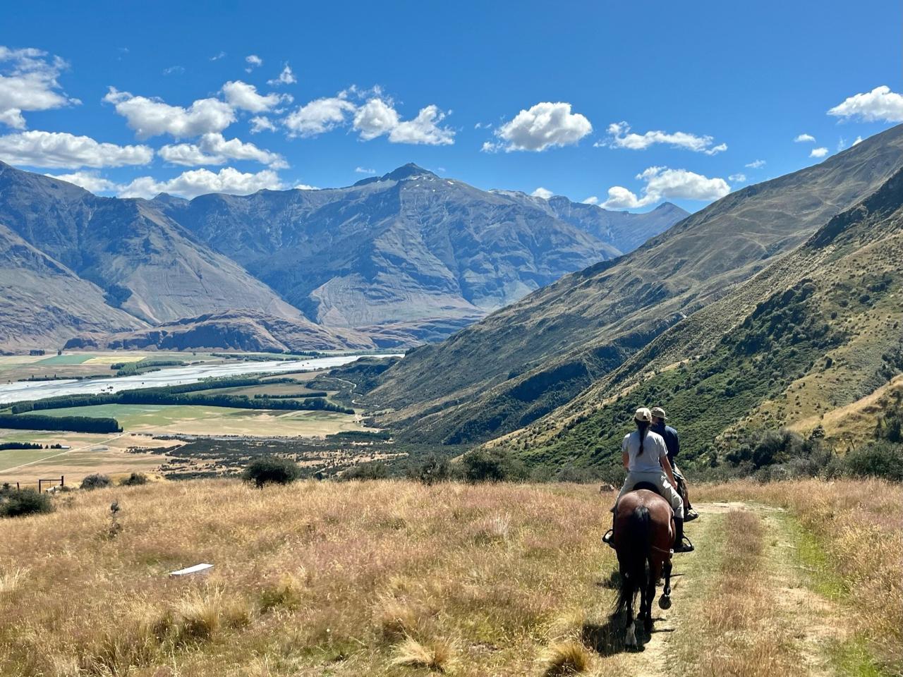 Big Hill Loop - Wanaka horse trekking Reservations