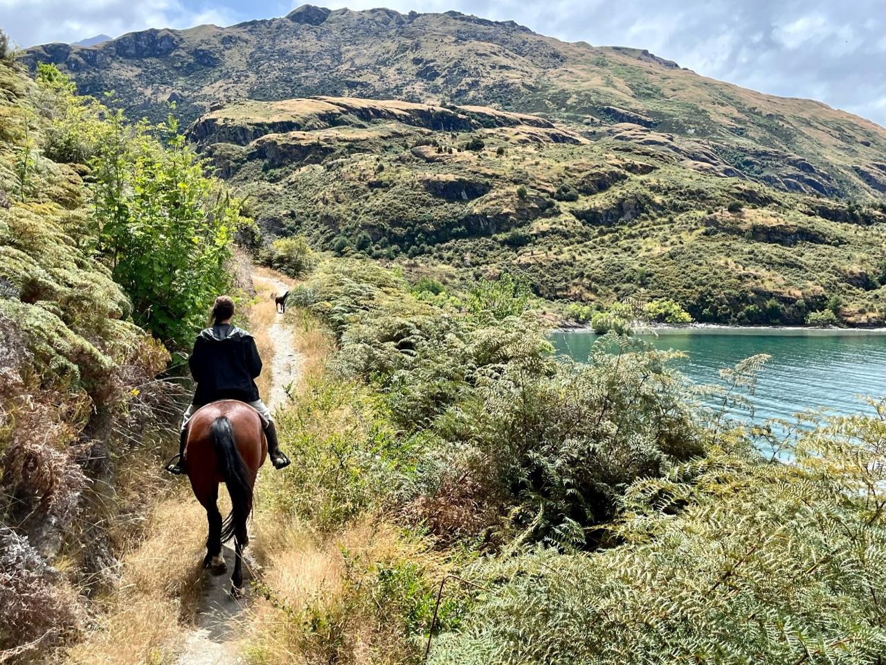 Homestead Bay - Wanaka horse trekking Reservations