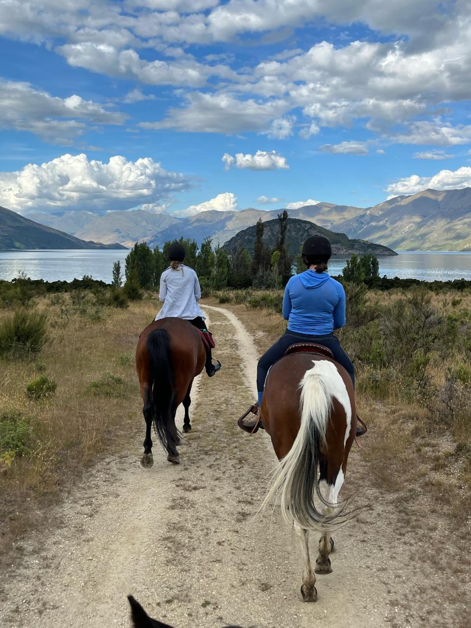 Lake Ride - Wanaka horse trekking Reservations