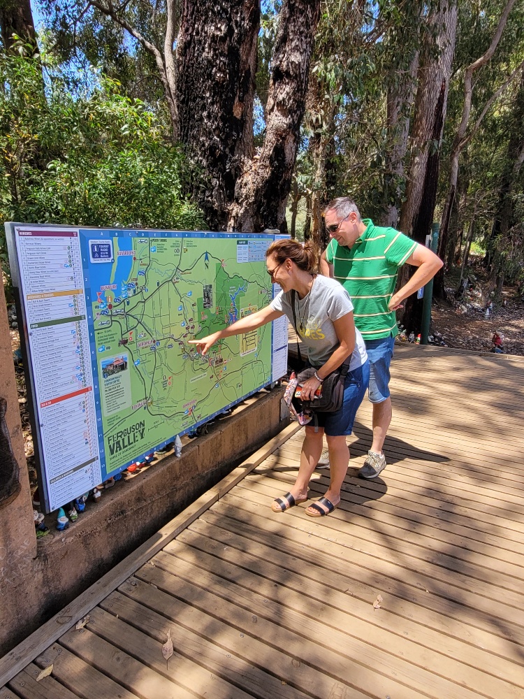 Ferguson Valley Explorer - Forest Explorers Reservations