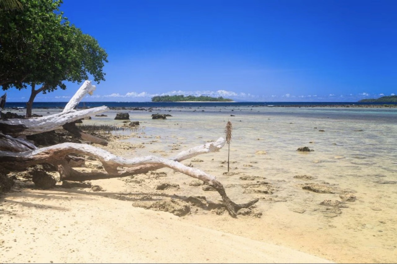 Dany Island Amazing Snorkelling Day Tour - Cruise Ship Guests - Vanuatu ...