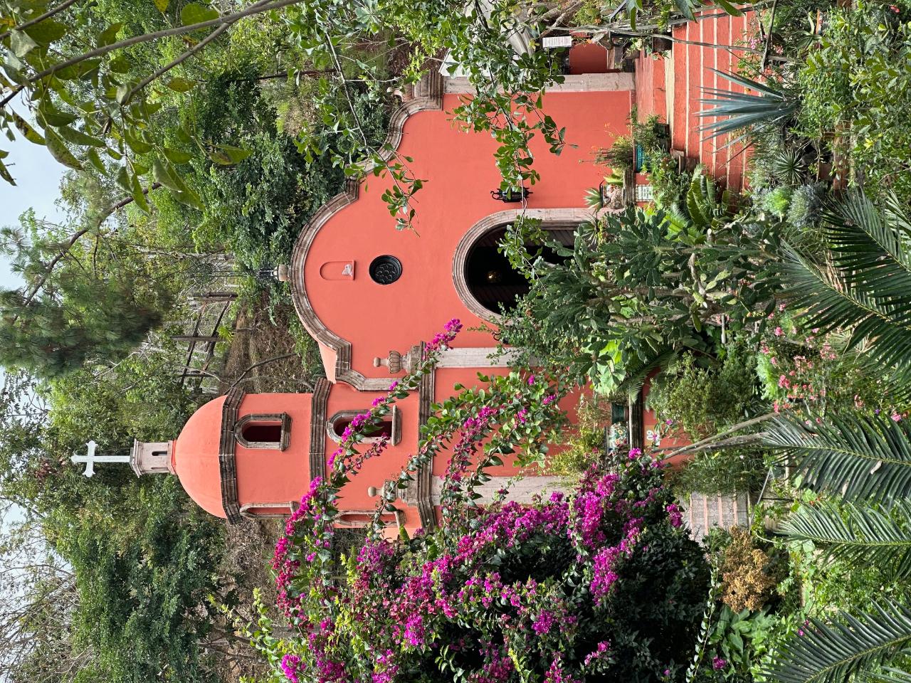 Half-Day Guided Botanical Garden Tour - Puerto Vallarta Walking ...