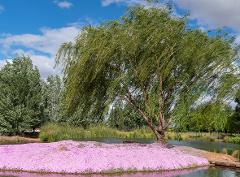 Enquire on Emeri's Garden Tour and Wine Tasting - De Bortoli Wines ...