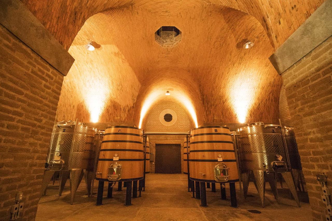 Winery and vineyard tour & tasting - San José Lavista Reservations