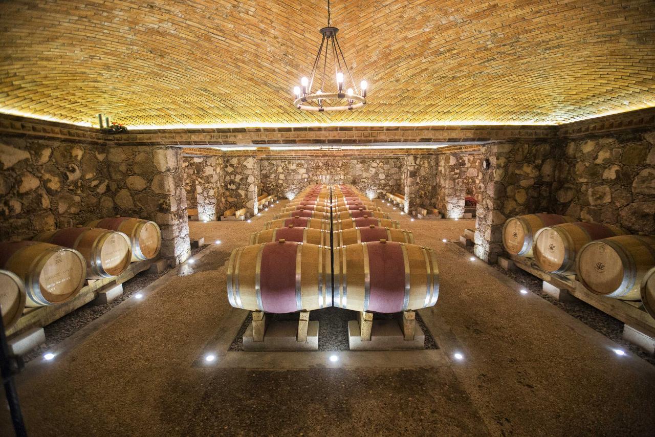 Winery and vineyard tour & tasting - San José Lavista Reservations