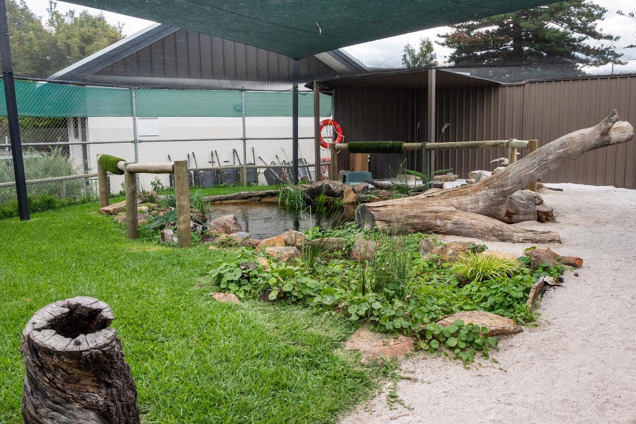 WA Wildlife Excursions - Native ARC Inc (trading as WA Wildlife ...