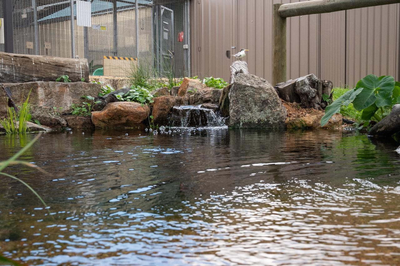 WA Wildlife Open Day - Native ARC Inc (trading as WA Wildlife) Reservations