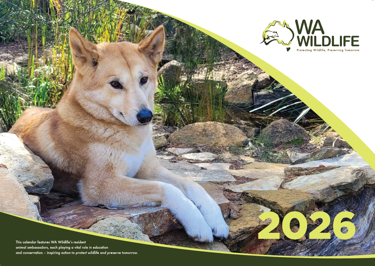 2026 WA Wildlife Calendar - Native ARC Inc (trading as WA Wildlife ...