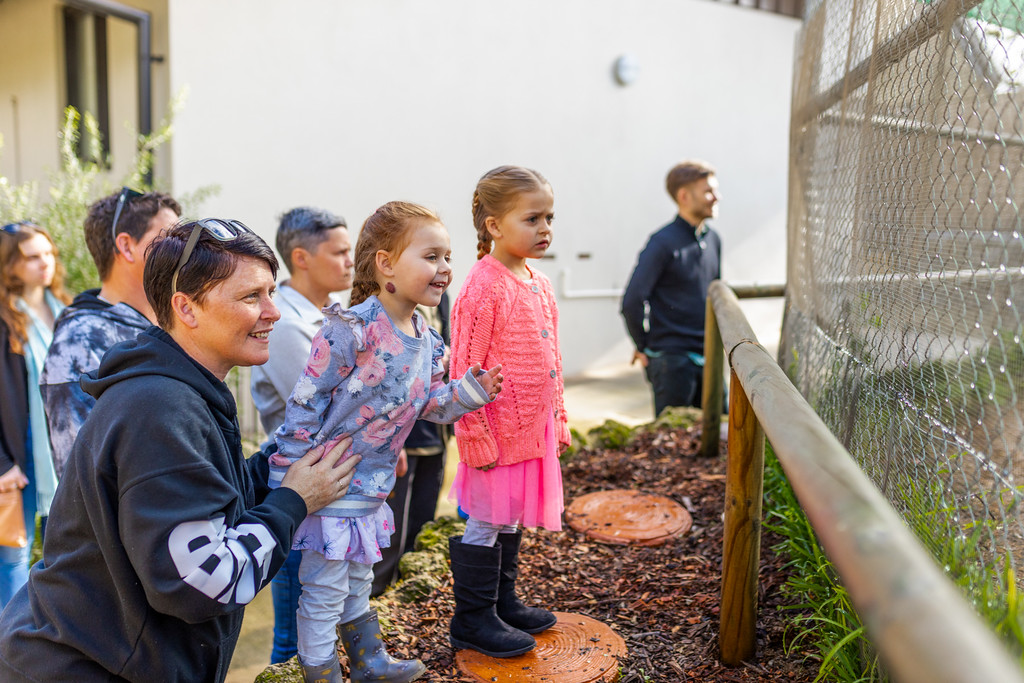 WA Wildlife Discovery Experience (ages 8+) - Native ARC Inc (trading as ...