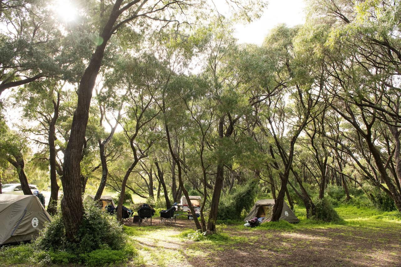 Cape2Camp In A Nutshell - Cape2Camp Reservations