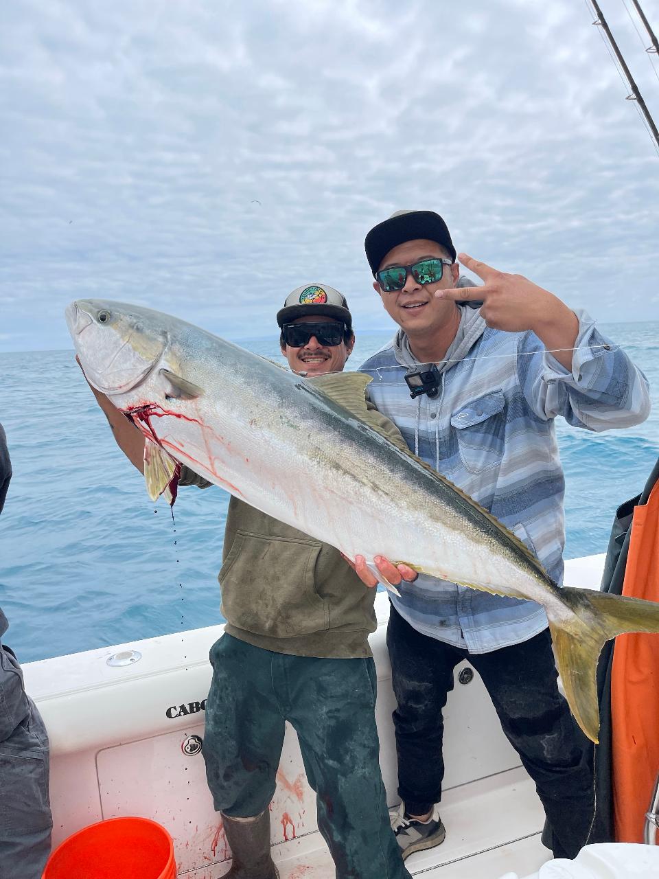 Full Day Island &/Or Offshore Tuna, Yellowtail, & More. Sportfish ...