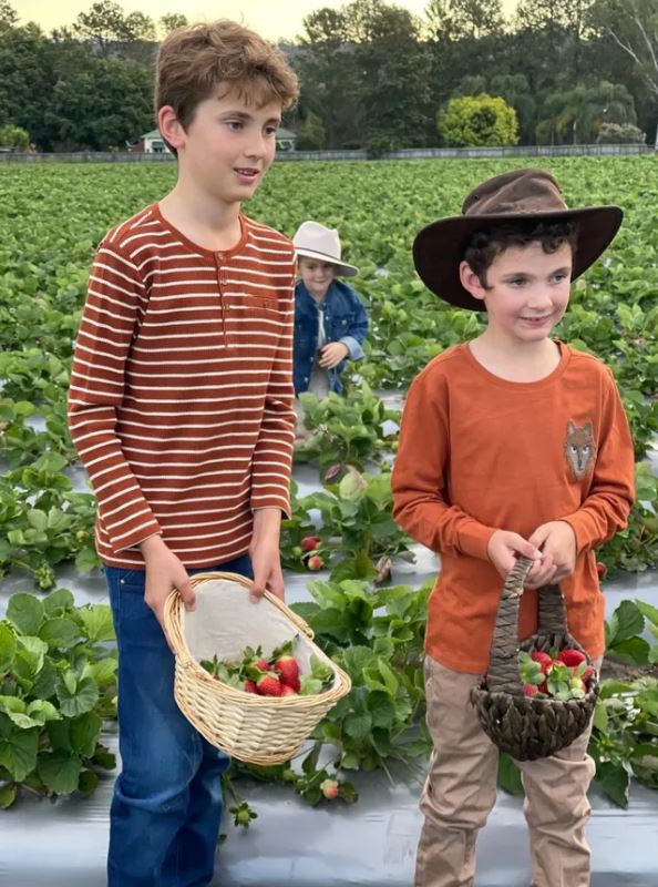 Pick Your Own Strawberries - Chambers Flat Strawberry Farm Reservations