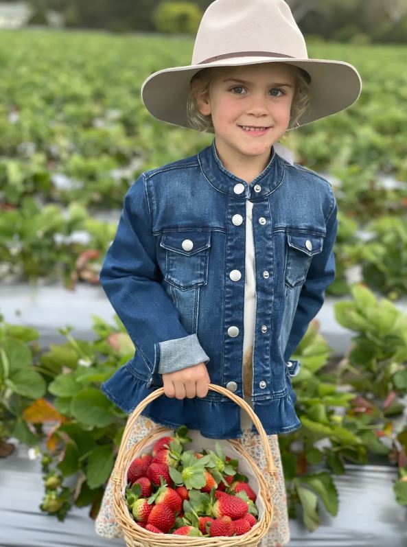 Pick Your Own Strawberries - Chambers Flat Strawberry Farm Reservations