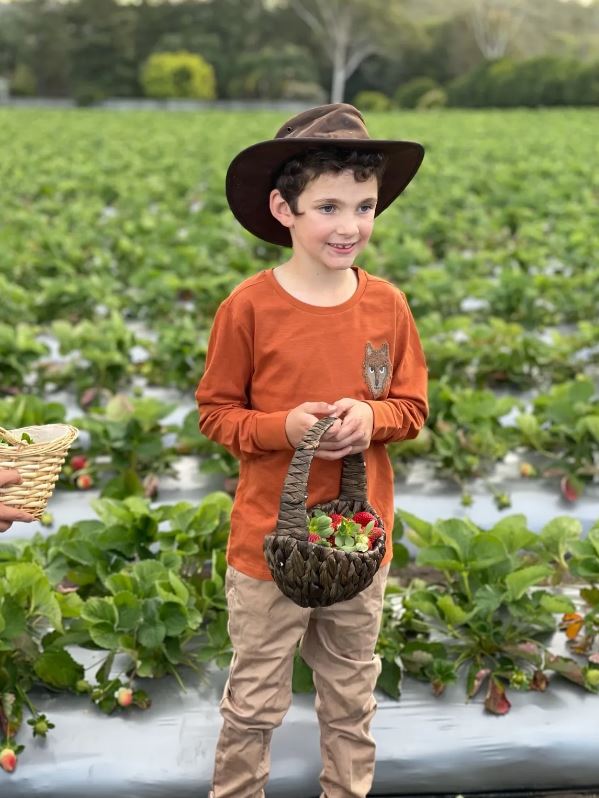Pick Your Own Strawberries - Chambers Flat Strawberry Farm Reservations
