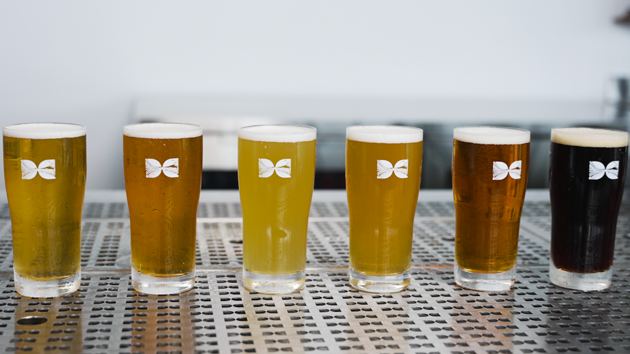 Brewery Tour