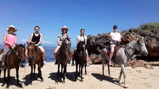 The Authentic Fijian Beach Horse Riding Adventure - Bula Adventours
