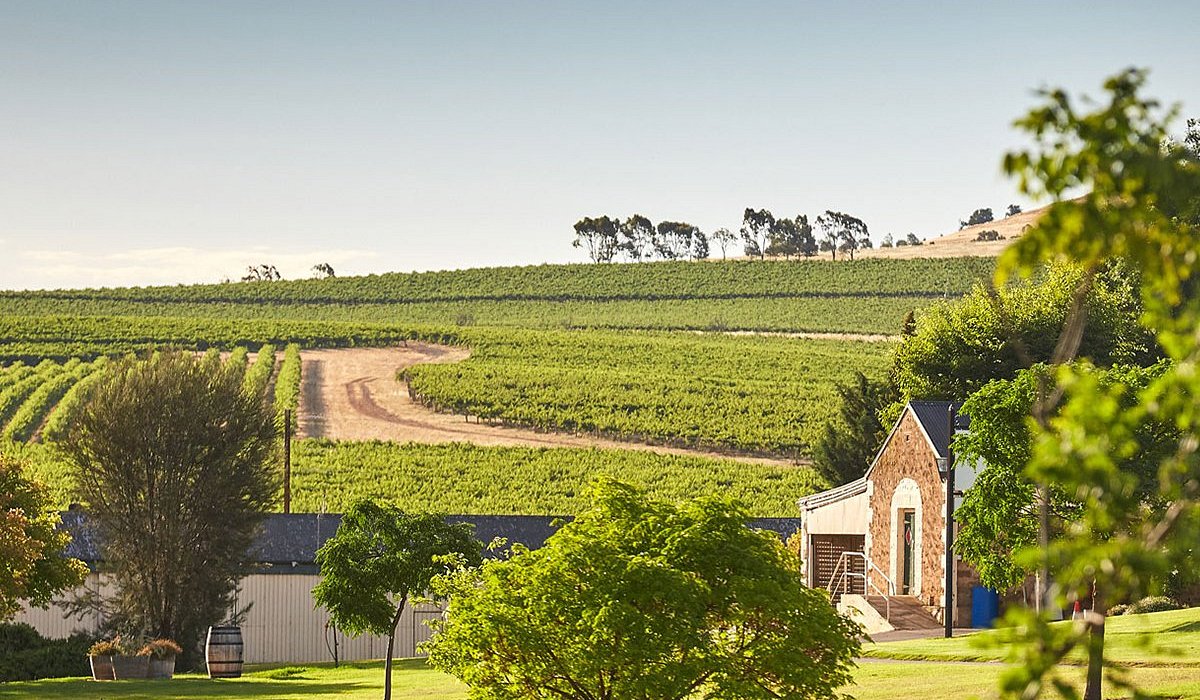 Clare Valley Tour - Turers - Australia