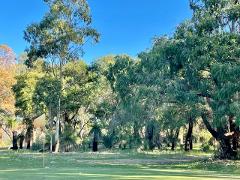 Golf - 9 holes - Yanchep National Park Reservations