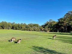 Golf - 9 holes - Yanchep National Park Reservations